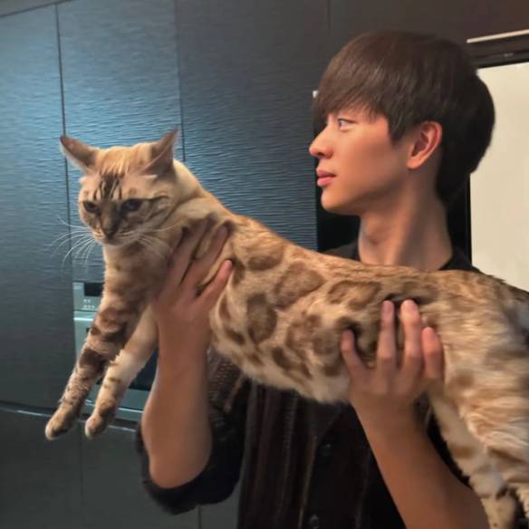 이준호와 디올 소바쥬의 강렬하고 신비로운 조우 Style 읽을거리 에스콰이어 코리아 │ 패션 매거진 패션 잡지 남성지